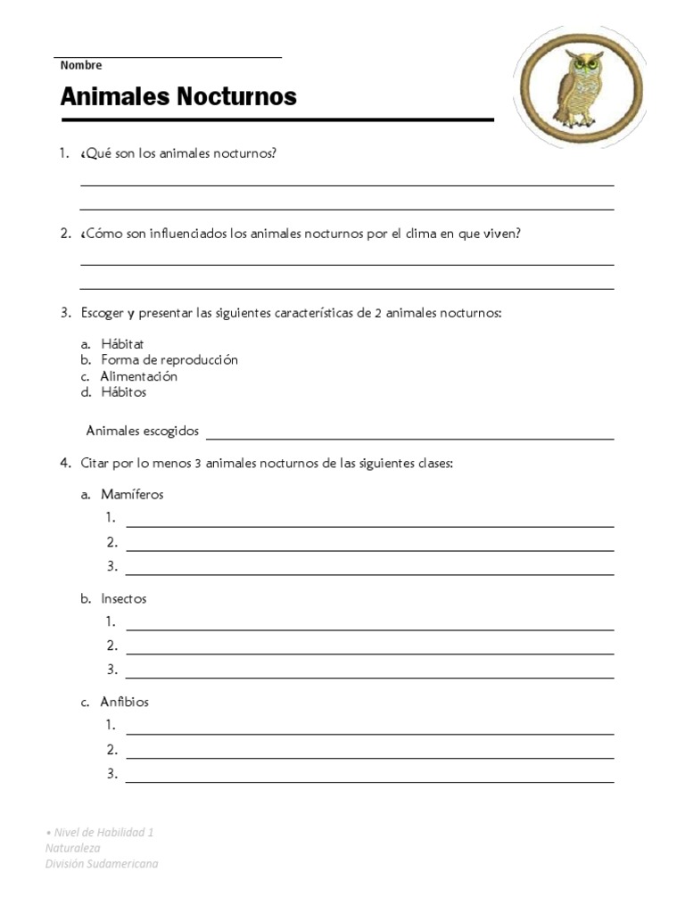 Animales Nocturnos PDF | PDF