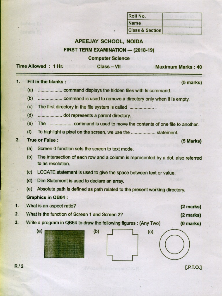 Computer Science Class VII Apeejay | PDF