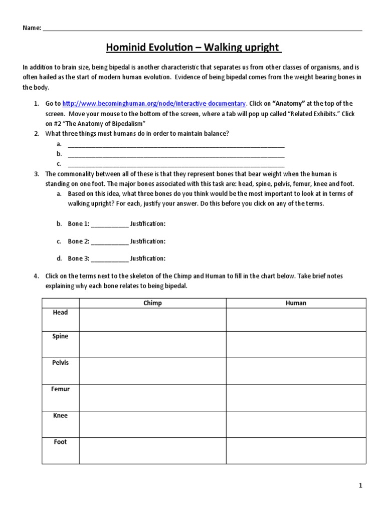 Hominid Evolution - Walking Upright: Chimp Human Head | PDF ...