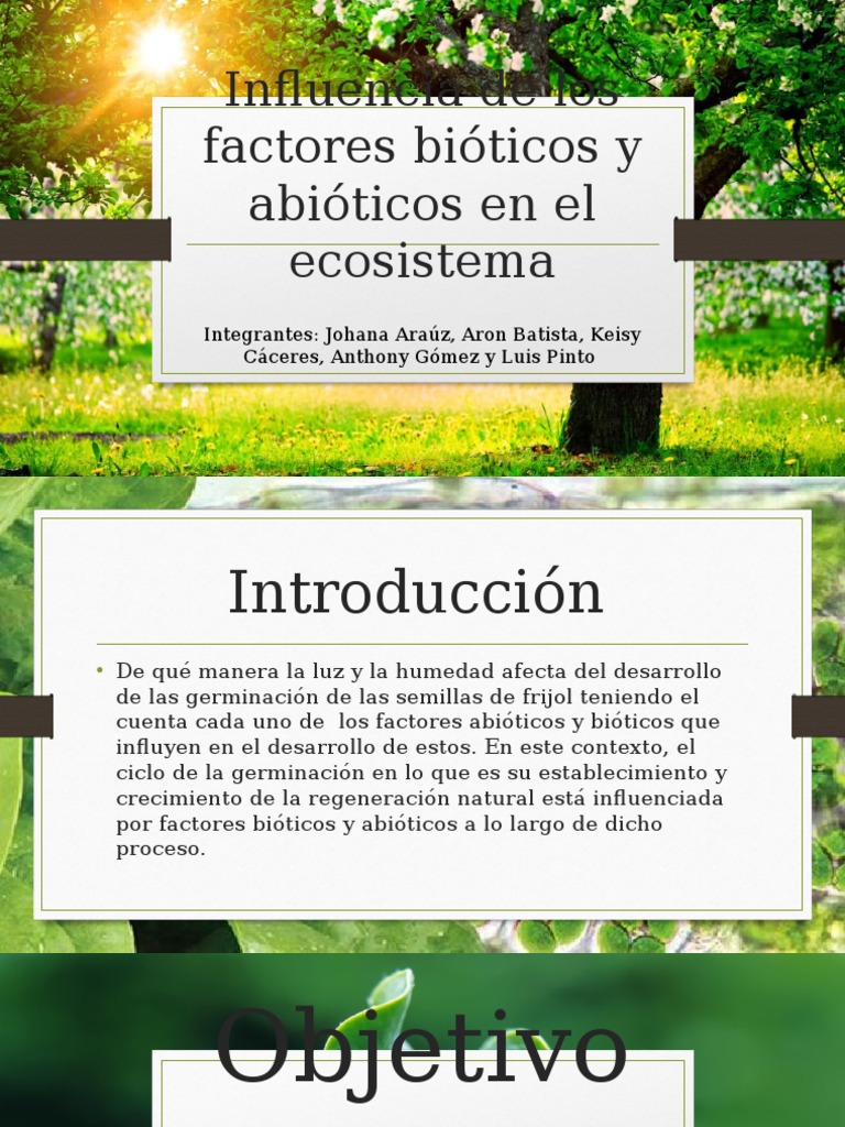 Factores bióticos y abióticos en germinación | PDF | Clorofila | Color