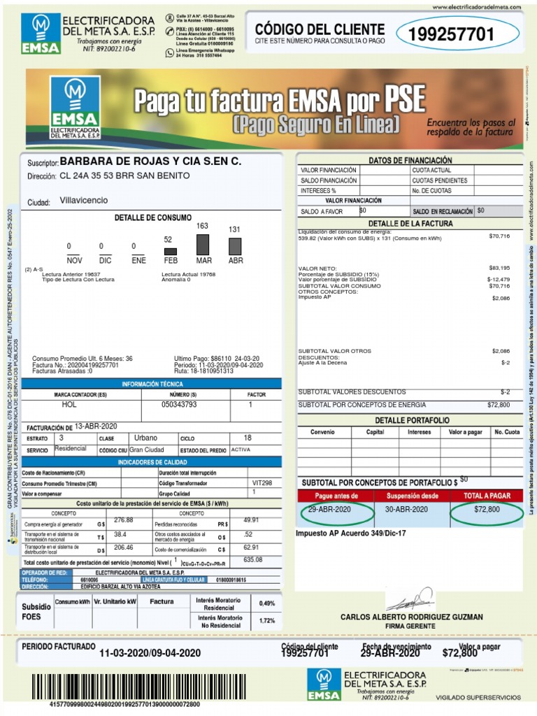 Factura Emsa | PDF | Economias | Naturaleza