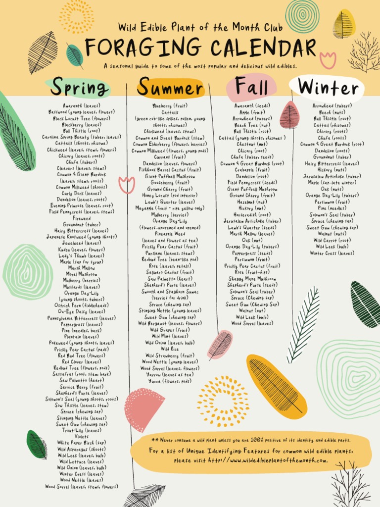 ForagingCalendar 8.5x11 Rev2 PDF | PDF | Fruit | Flowers