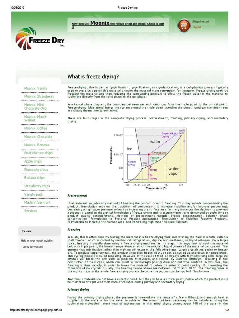 Understanding the Freeze-Drying Process | PDF | Freeze Drying | Freezing