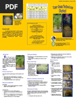 A NARRATIVE REPORT ON TREE Planting | PDF | Botany | Organisms