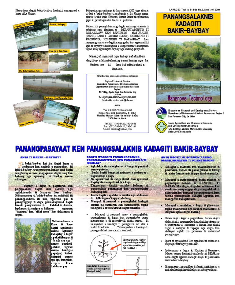 Brochure Mangrove Ilocano | PDF