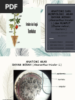 Morfologi Batang Rumput Teki | PDF | Griya & Taman | Sains & Matematika