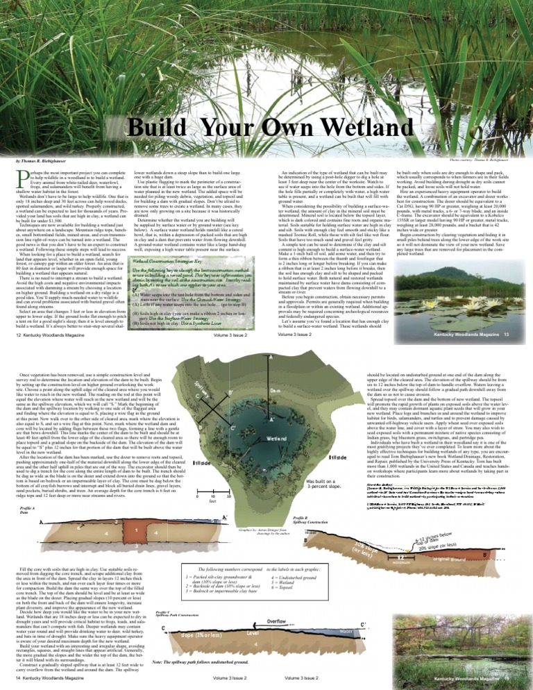Building Your Own Wetland Guide | PDF | Wetland | Topsoil