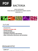 Bacteria Cell Diagram Labeled - Google Search | PDF