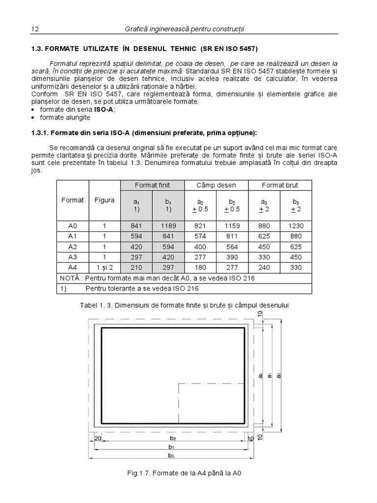 Formate - Indicator - Impaturire - Desen Tehnic | PDF