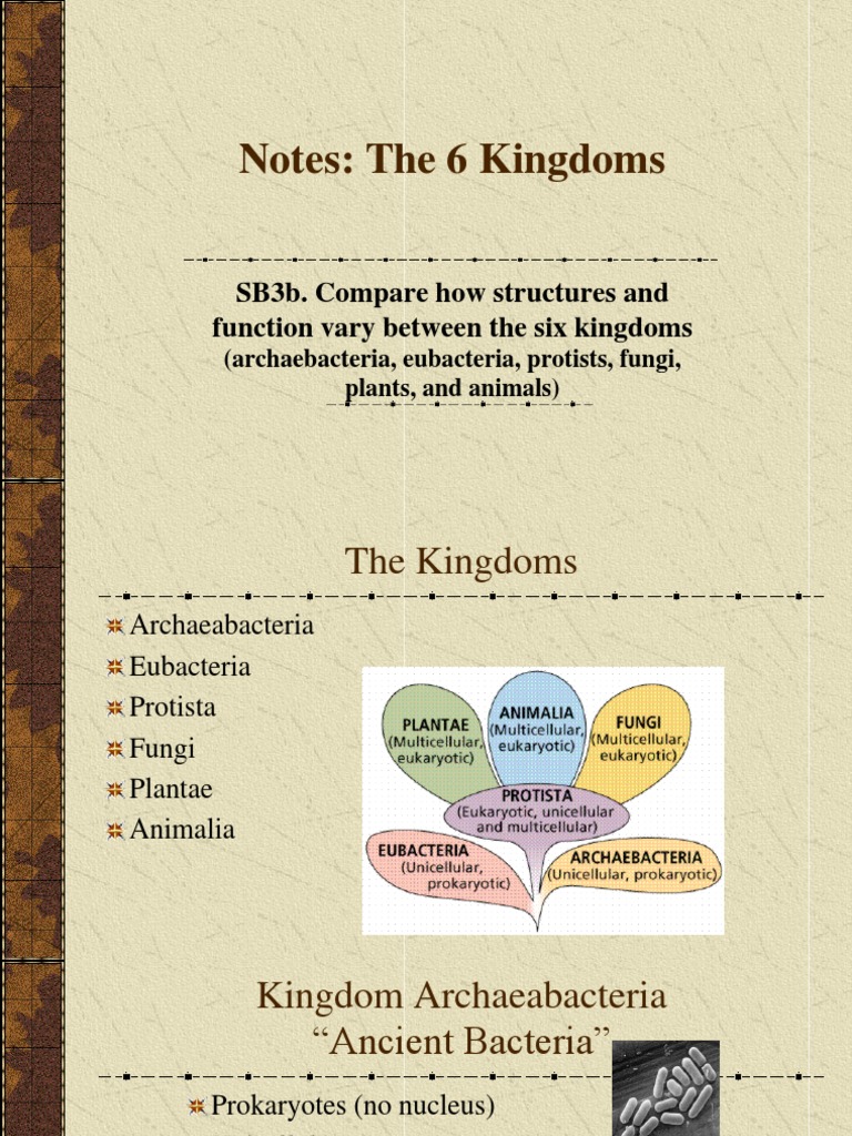 Notes: The 6 Kingdoms: SB3b. Compare How Structures and Function Vary ...