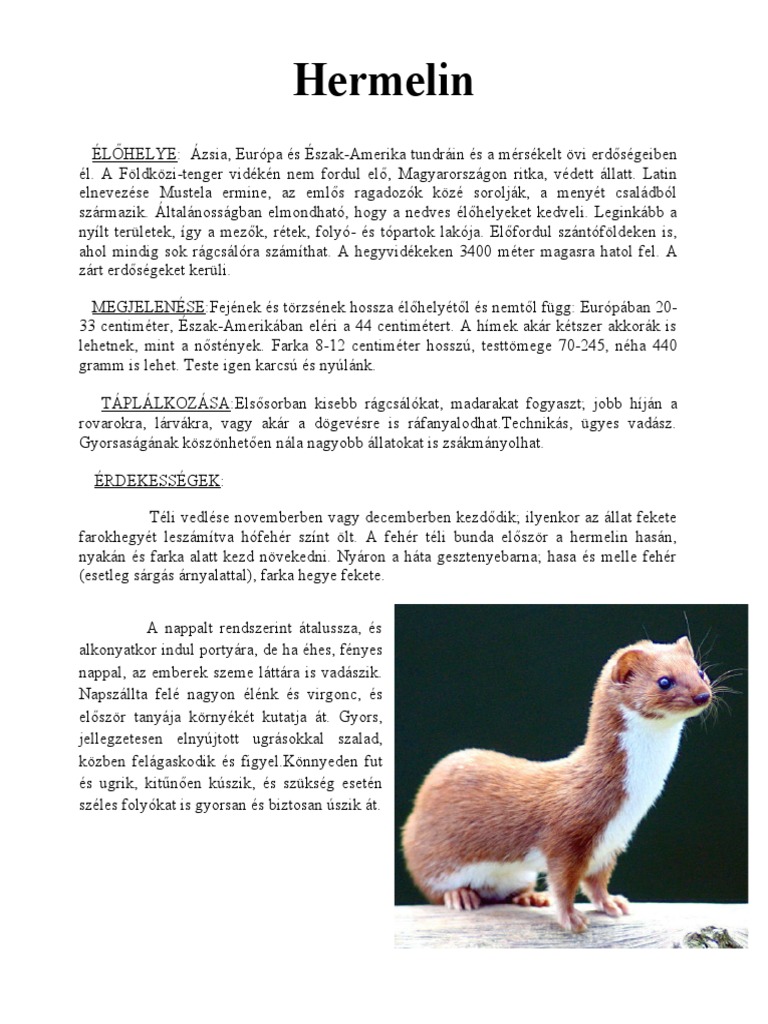 Hermelin | PDF