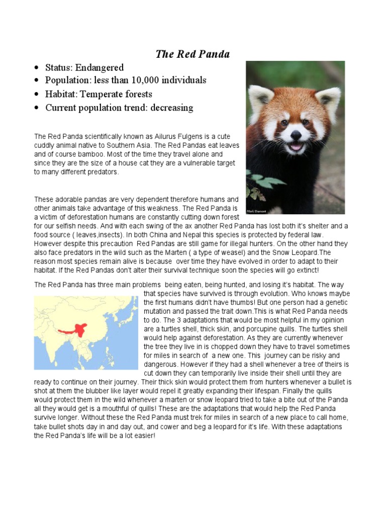 The Red Panda | PDF | Giant Panda | Organisms