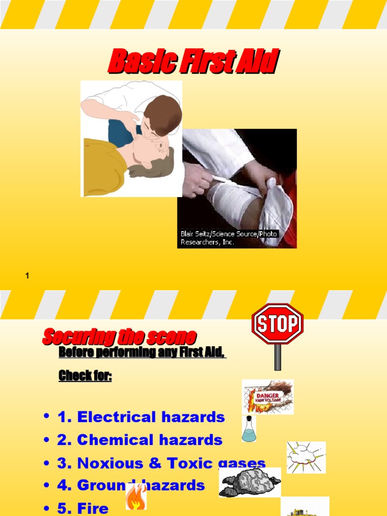 Basic First Aid 0808 | PDF | Hyperthermia | Cardiopulmonary Resuscitation
