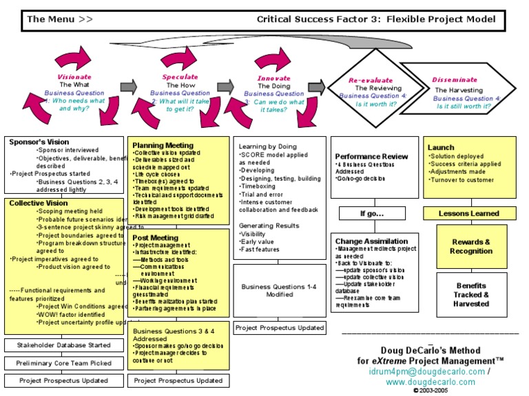 The Menu Critical Success Factor 3: Flexible Project Model | PDF ...