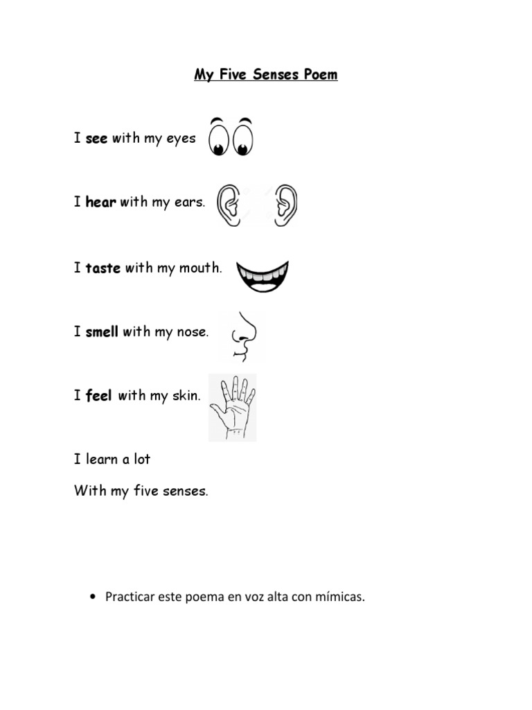 I See With My Eyes: My Five Senses Poem | PDF