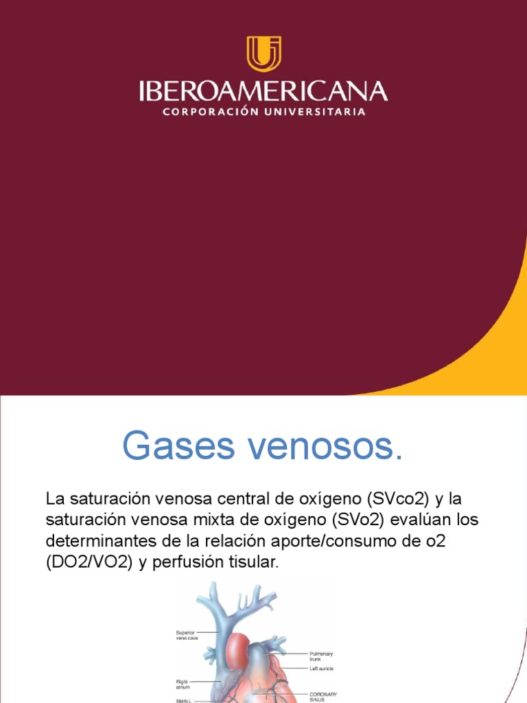 Gases Arterio - Venosos. | PDF
