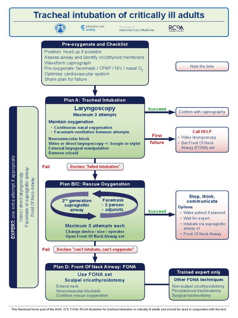 Das Critically Ill Intubation | PDF | Medical Treatments | Medical ...