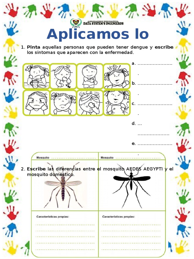 Ficha de Aplicación Del Dengue | PDF