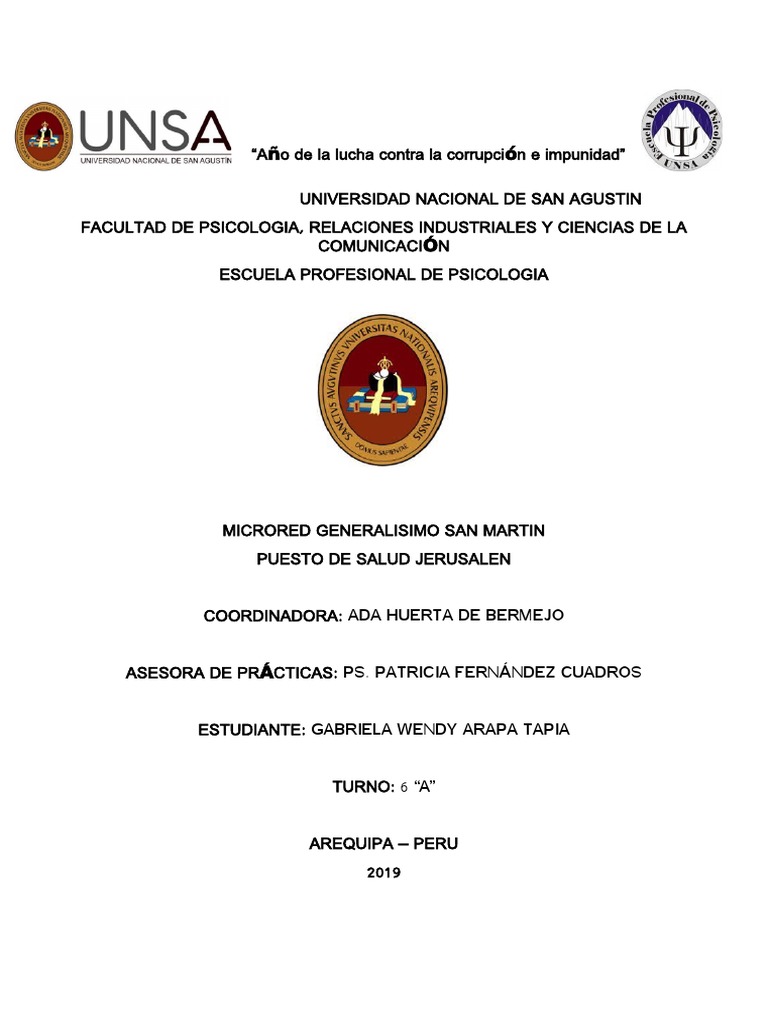 Informe Final Unsa | PDF | La violencia contra las mujeres | Adultos
