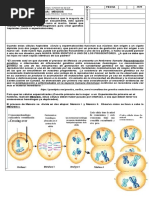 Ficha Técnica Del Pasto Imperial (Axonopus Scoparius, Hitchc) | PDF ...