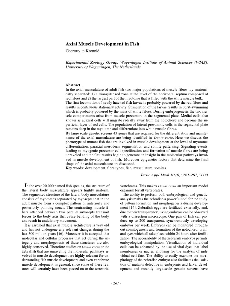 Axial Muscle Development in Fish | PDF | Muscle | Cellular Differentiation