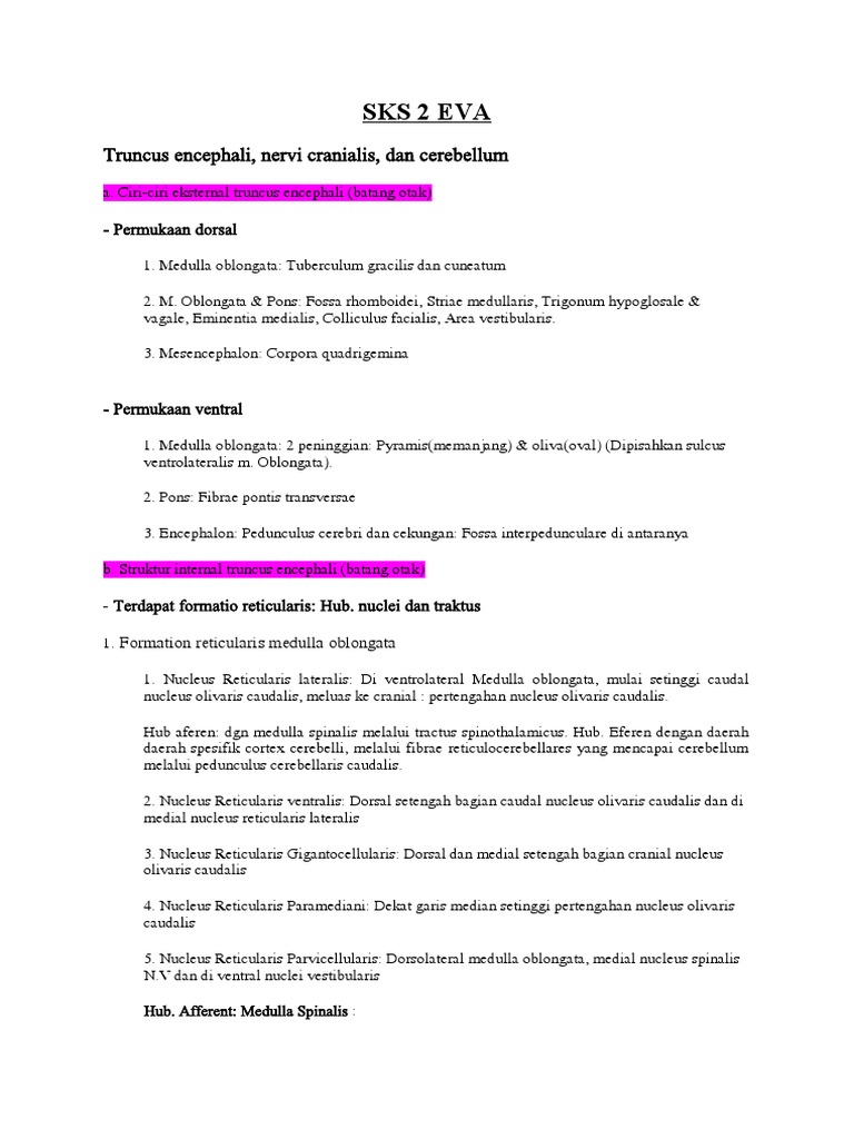 Sks 2 Formatio Reticularis | PDF