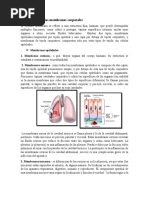 Guía de Sutura Colchonero Horizontal | PDF | Cirugía | Especialidades ...