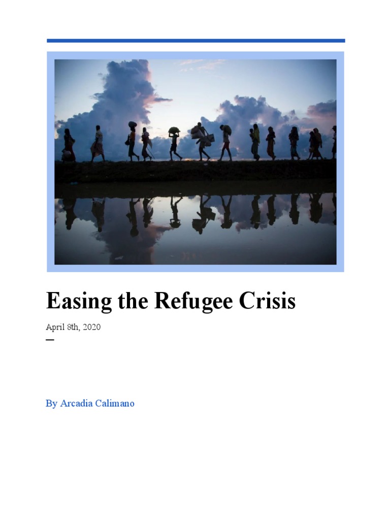 Issue Brief Final | PDF | Refugee | Aids