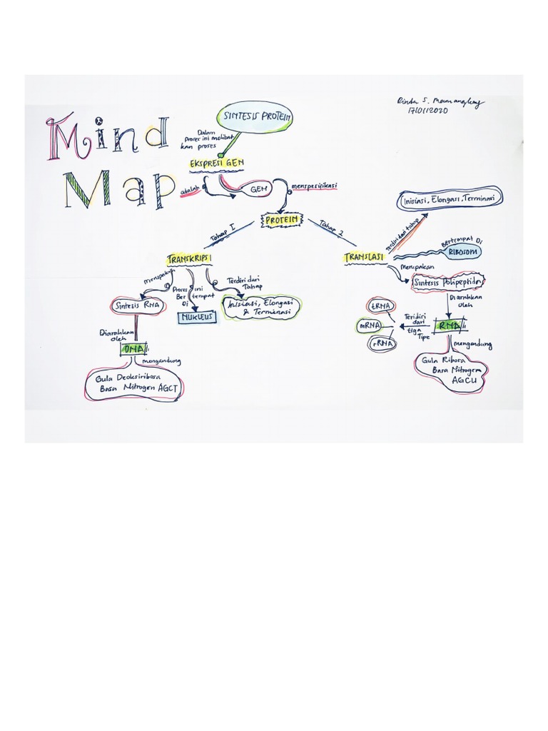 Mind map - Sintesis Protein