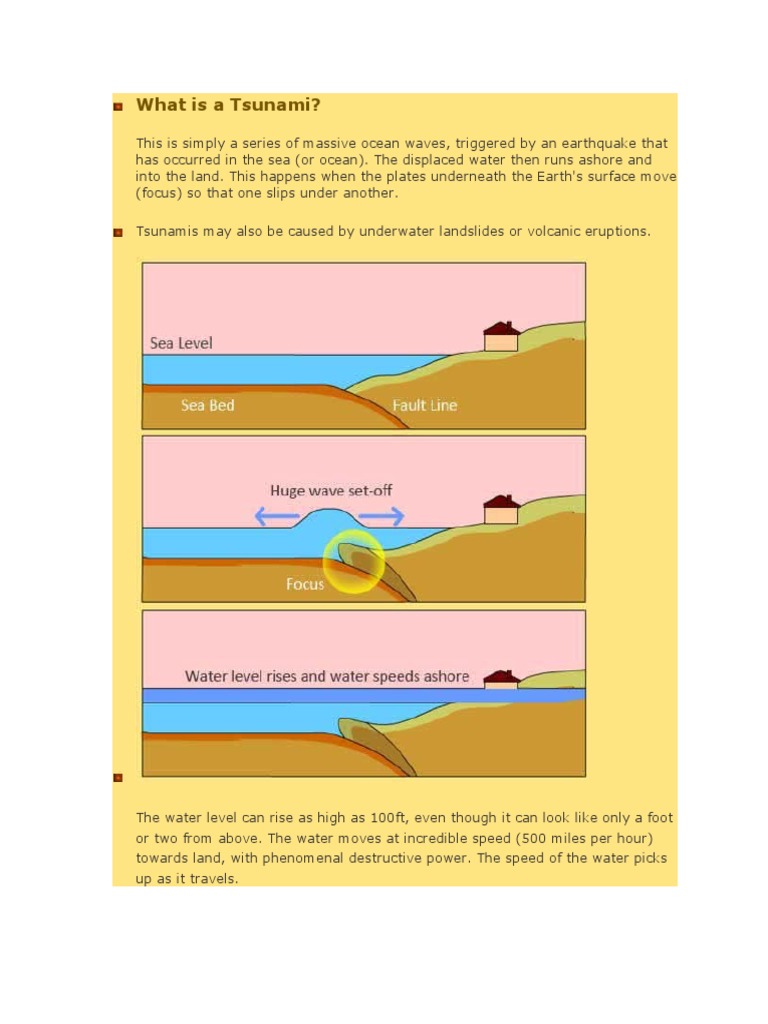What Is A Tsunami | PDF | Tsunami | Earthquakes