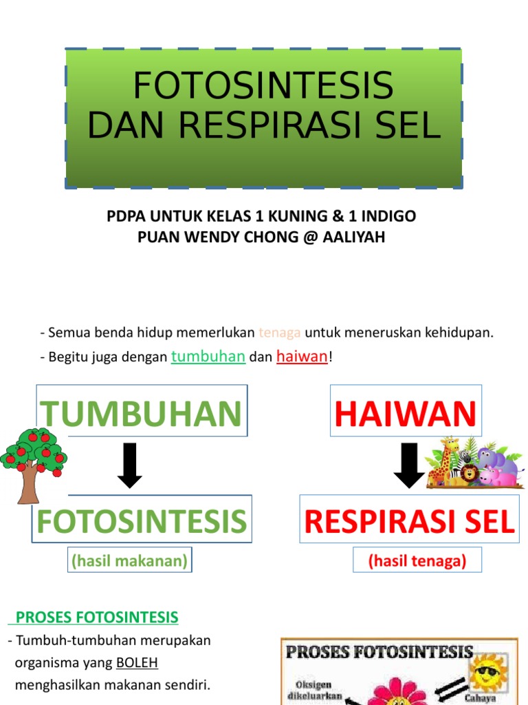 Nota Sains Tingkatan 1 Kssm Bab 2 Fotosintesis Dan Respirasi Sel Pdf