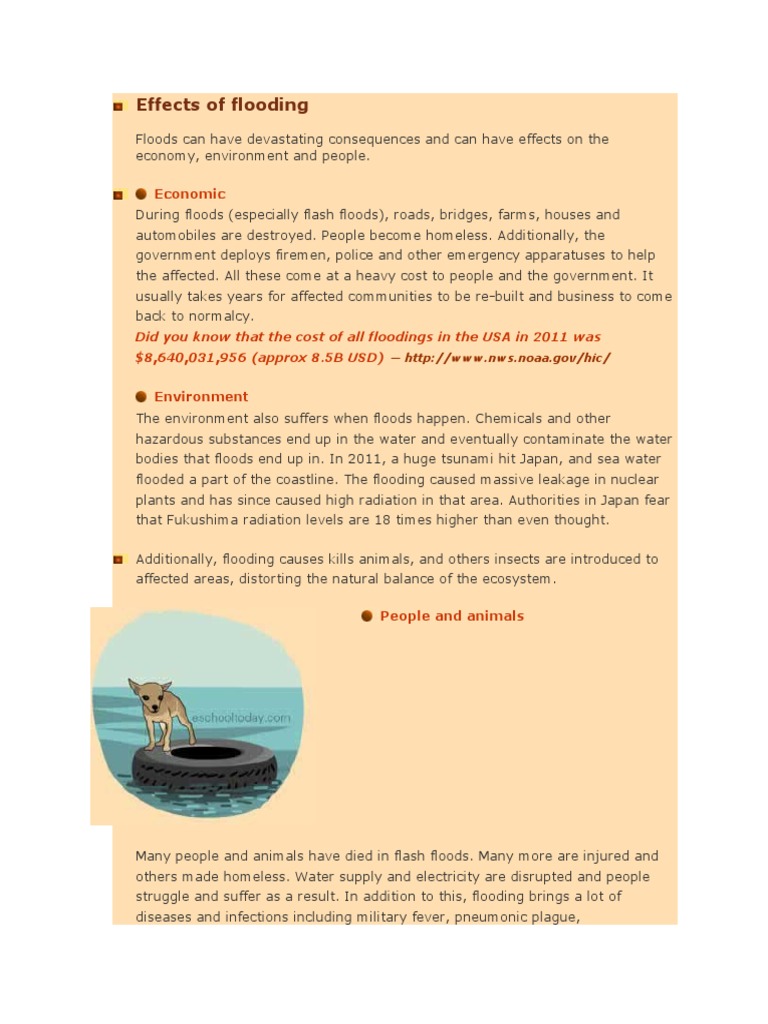 Effects of Flooding, Prevention and Precautions Measure | PDF | Flood ...