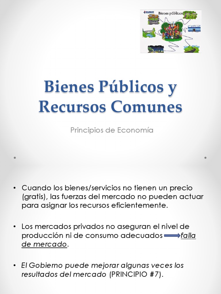Cap. 11 | PDF | Bienes | Exterioridad