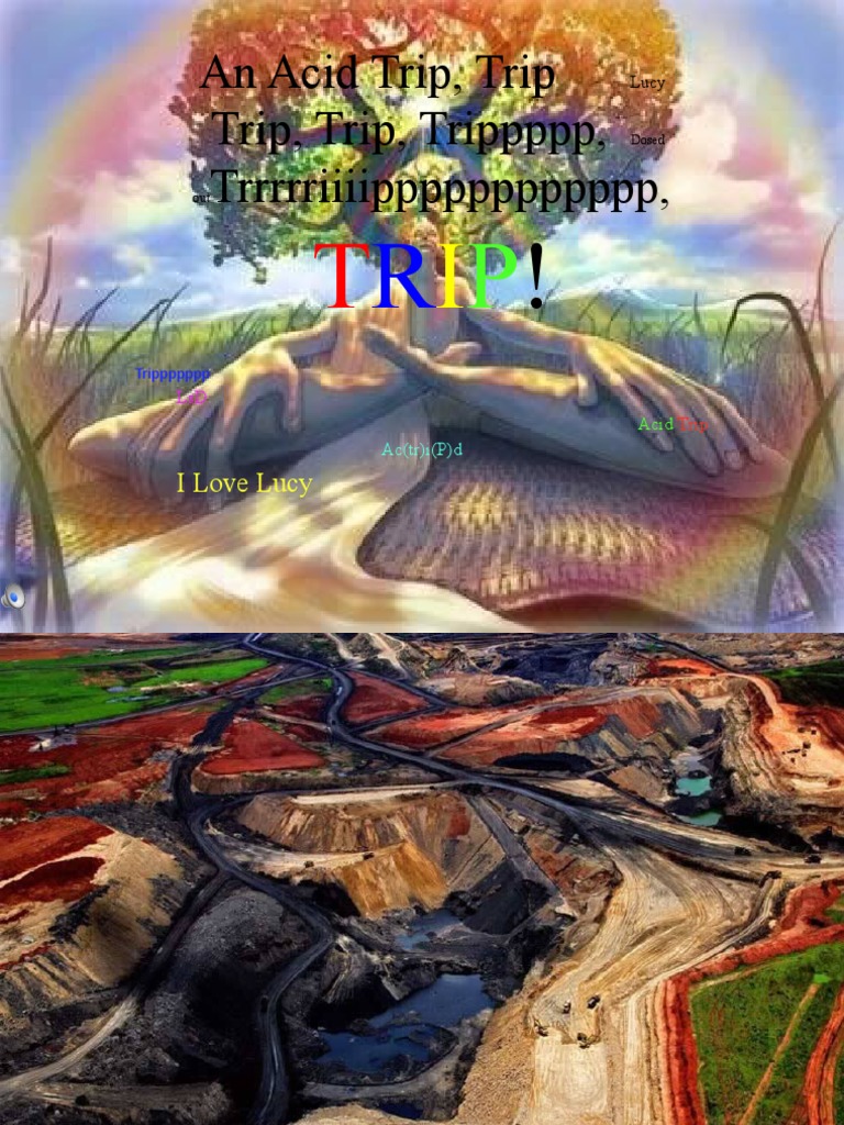 Acid Trip Reflections and Quotes | PDF | Young Adult