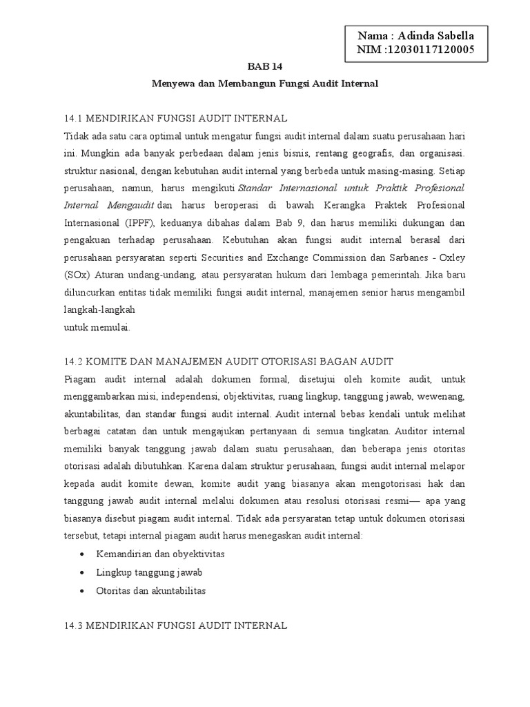 Resume Audit Internal BAB 14 & 15 | PDF