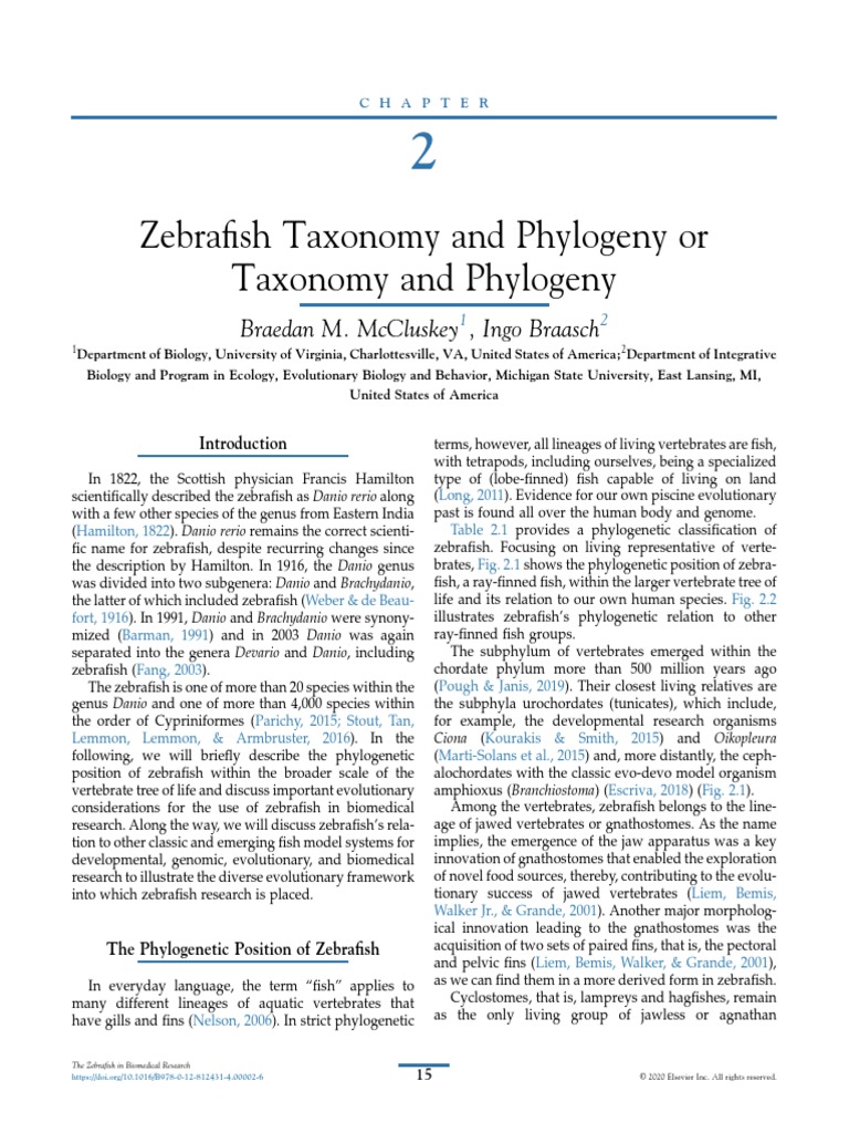 Chapter 2 - Zebrafish Taxonomy and Phylogeny or - 2020 - The Zebrafish ...