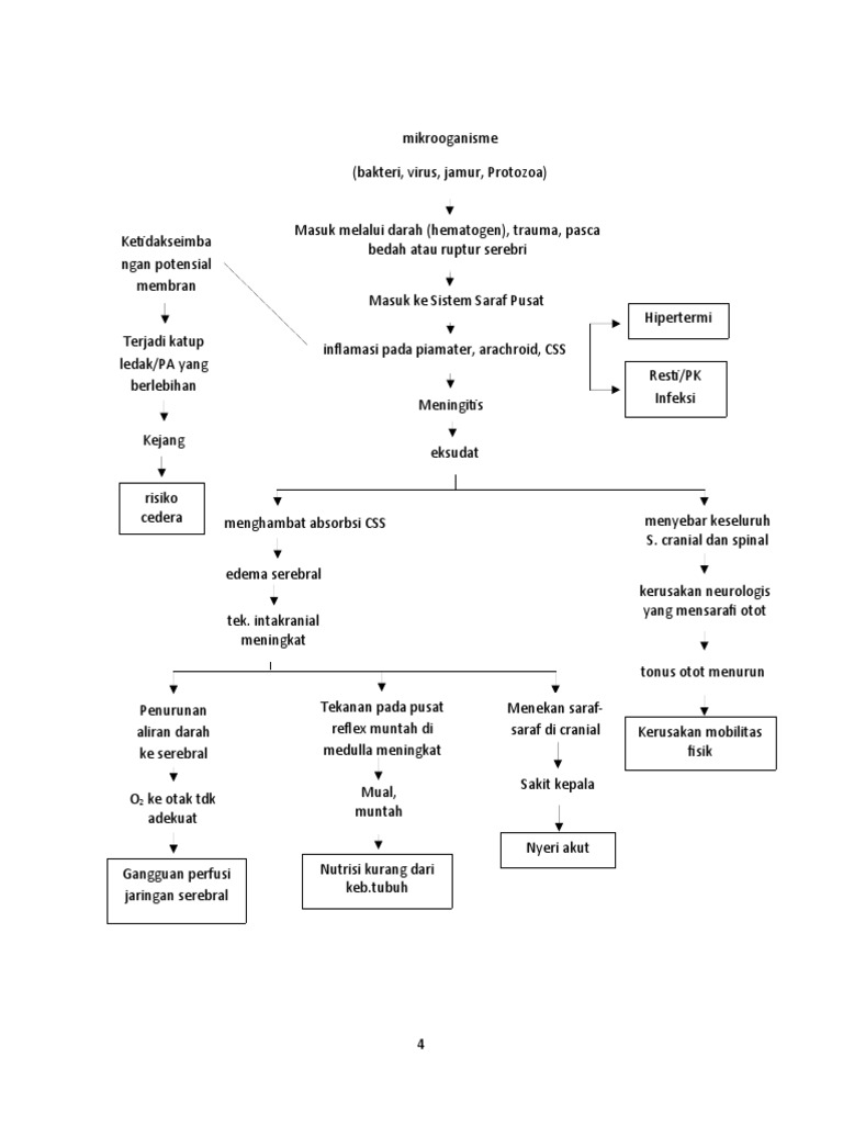 Pathway Meningitis New | PDF