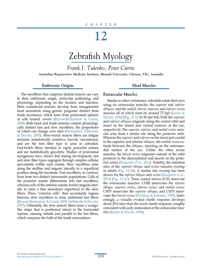 Chapter 12 - Zebrafish Myology - 2020 - The Zebrafish in Biomedical ...