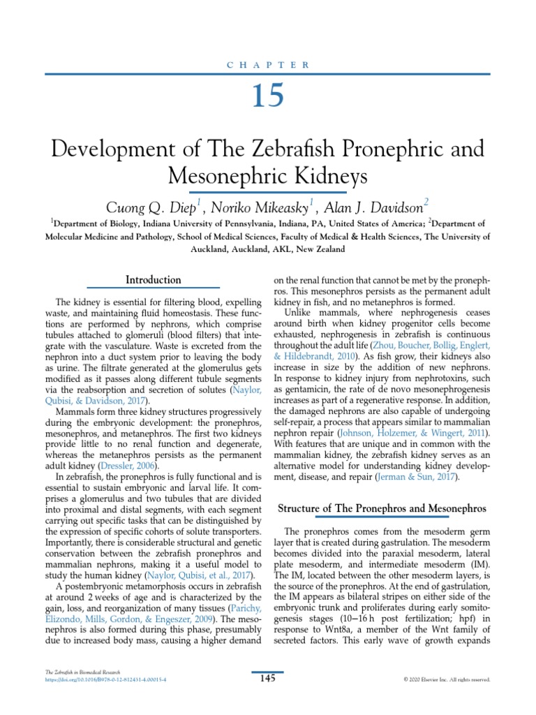 Chapter 15 - Development of The Zebrafish Pronep - 2020 - The Zebrafish ...
