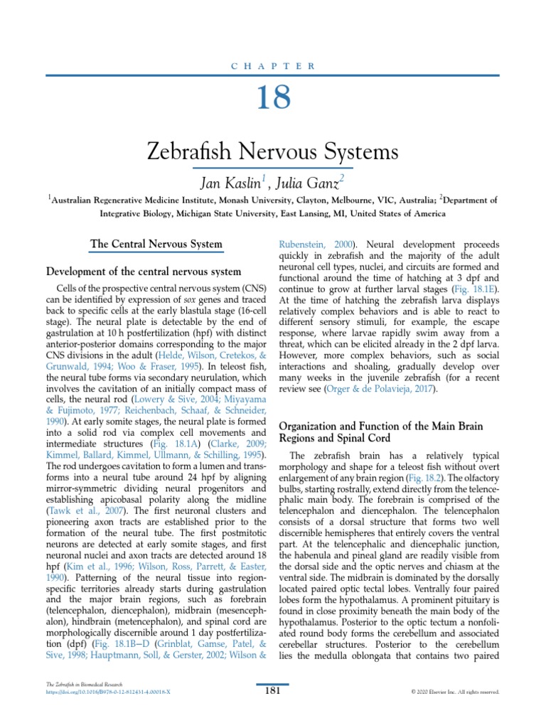 Chapter 18 - Zebrafish Nervous Syste - 2020 - The Zebrafish in ...