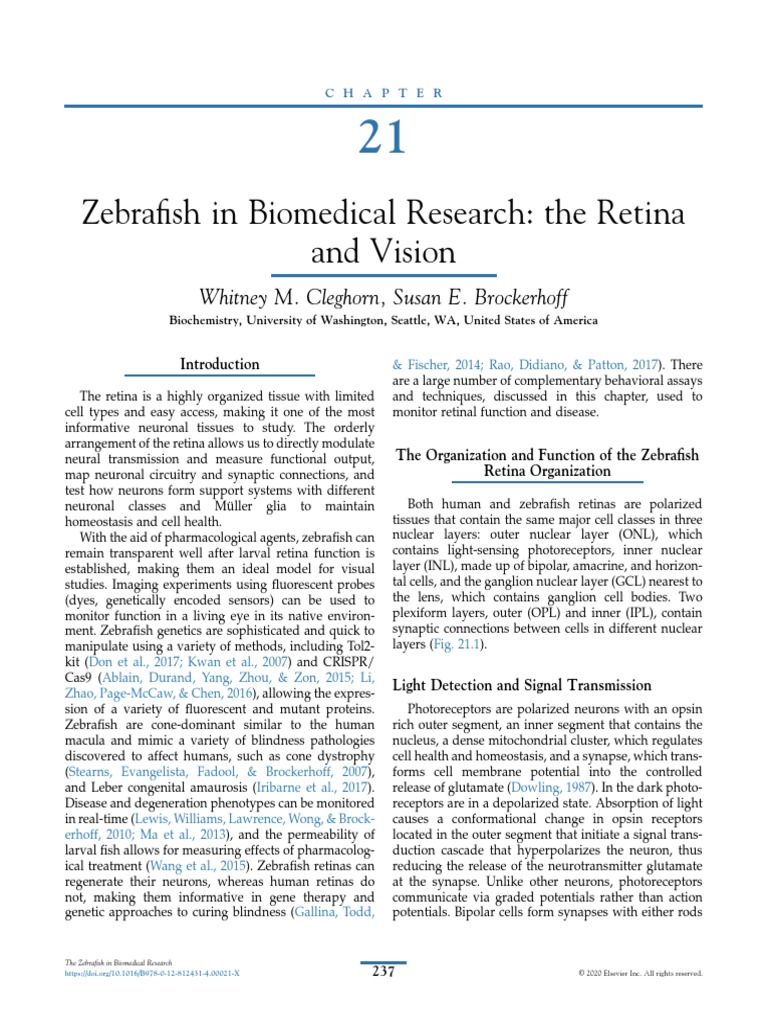 Chapter 21 - Zebrafish in Biomedical Research - 2020 - The Zebrafish in ...