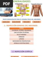 Formación Del Asa Cardiaca | PDF | Corazón | Órgano (anatomía)