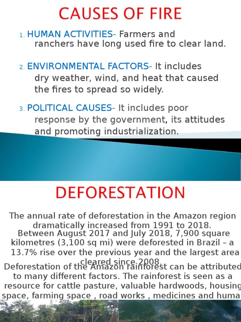 Causes of Amazon Deforestation | PDF