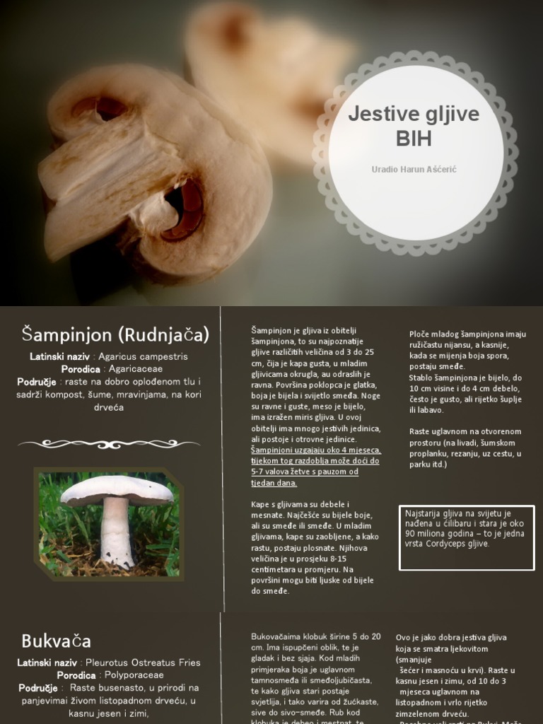 Bio Gljive | PDF