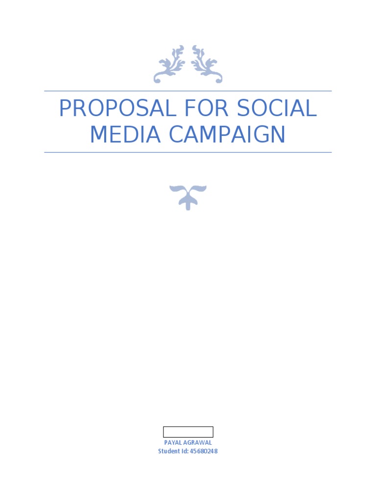 Individual Proposal | PDF | Target Audience | Social Media