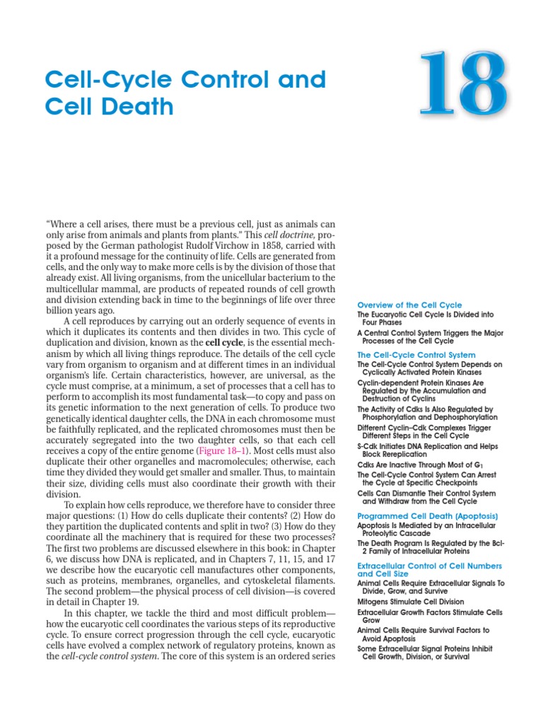CH 18 | PDF | Cell Cycle | Kinase