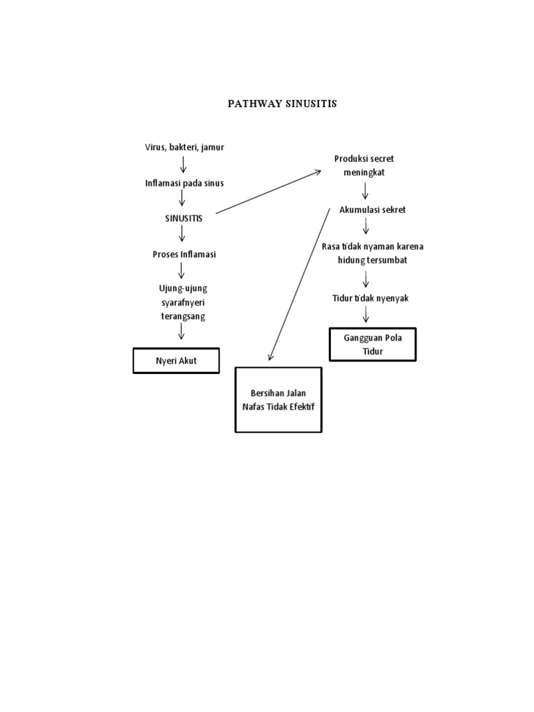 Pathway Sinusitis Ok | PDF