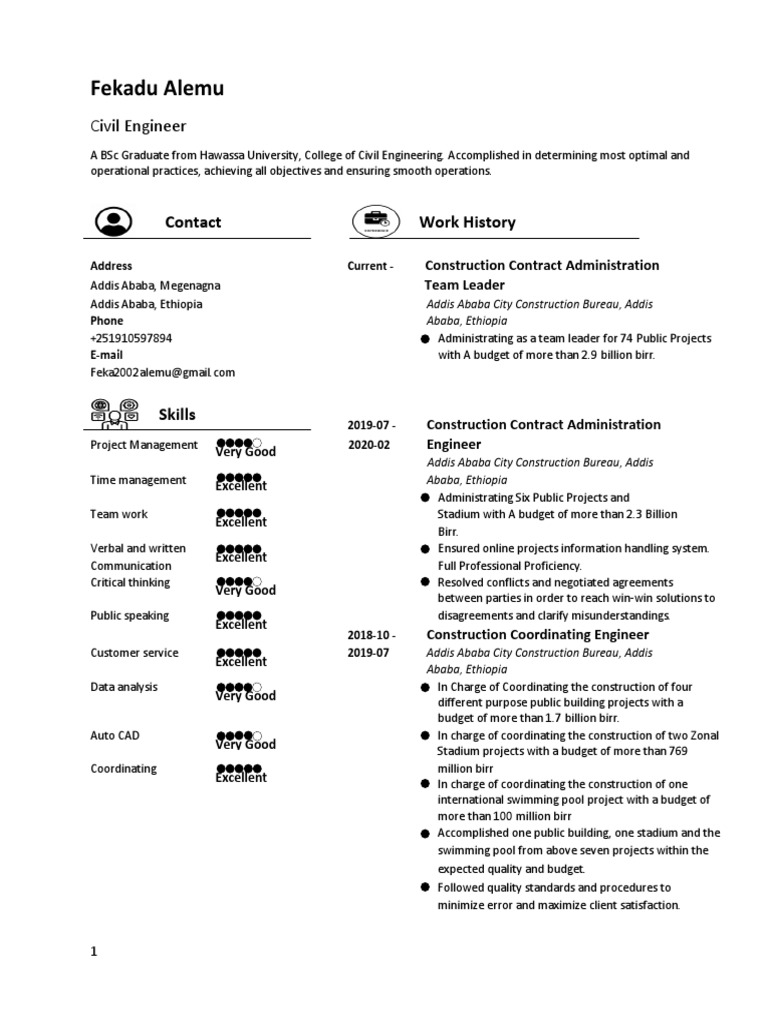 Fekadu Alemu CV PDF | PDF | Ethiopia | Project Management