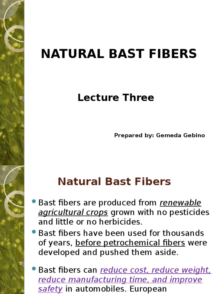 Lecture Three Natural Bast Fiber | PDF | Flax | Textiles