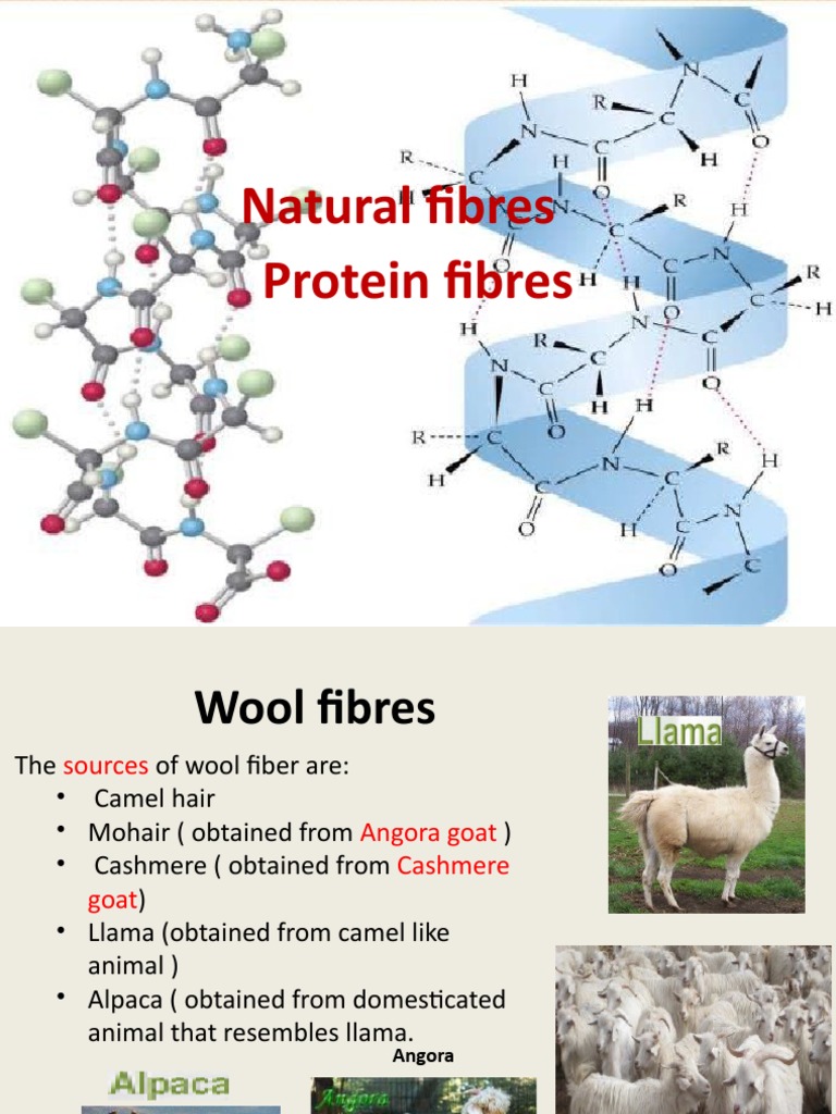 Natural Fibres Protein Fibres | PDF | Silk | Wool